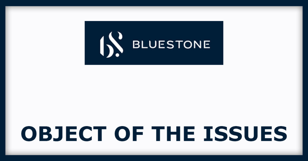 BlueStone Jewellery & Lifestyle Limited IPO (BlueStone Jewellery IPO ...